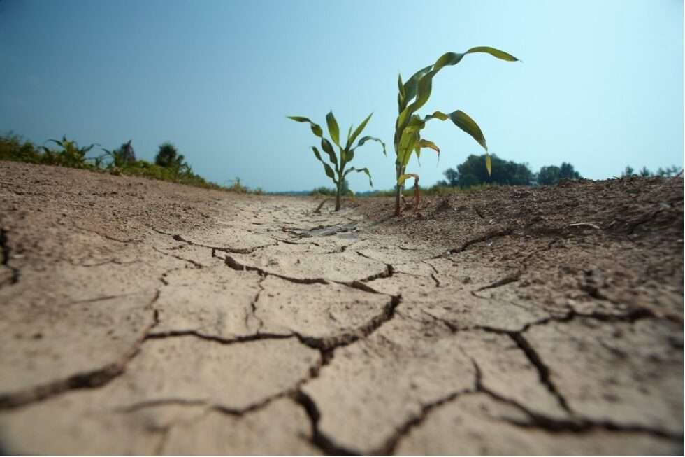 Antigua Records 7th Driest Early Summer; Drought Warning Issued ...