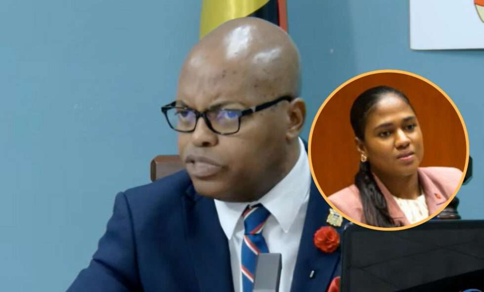 Merchant Defends Minister Bird Browne, Says “Vehicle-Gate” Attacks Are ...